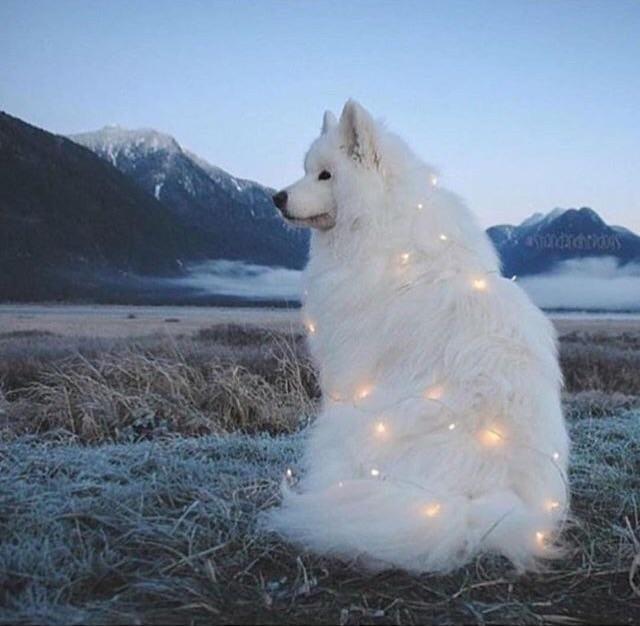 B I G B O Y E does a glow | Shoob | Know Your Meme