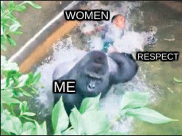 Respectful_Harambe | Respect Women | Know Your Meme