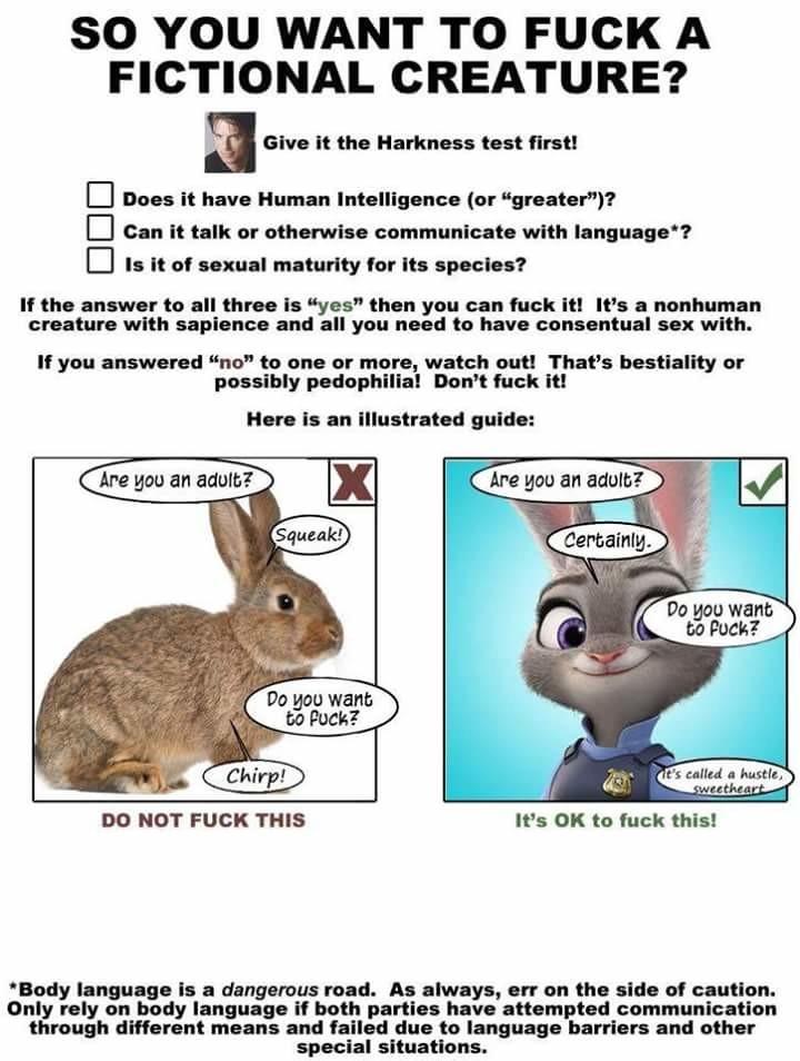 Rabbit Harkness Test | Harkness Test | Know Your Meme