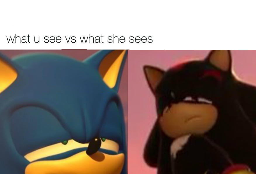 What Shadow See Vs What Sonic Sees What You See Vs What She Sees 