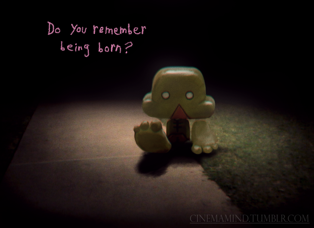 "Do you remember being born?" | Petscop | Know Your Meme