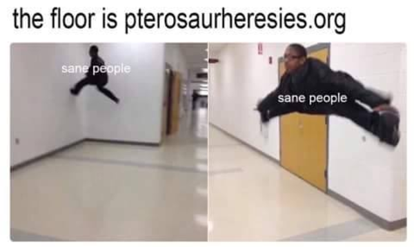 The floor is pterosaurheresies.org | David Peters | Know Your Meme