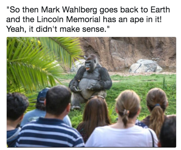 Planet Of The Apes | TED Talk Gorilla | Know Your Meme