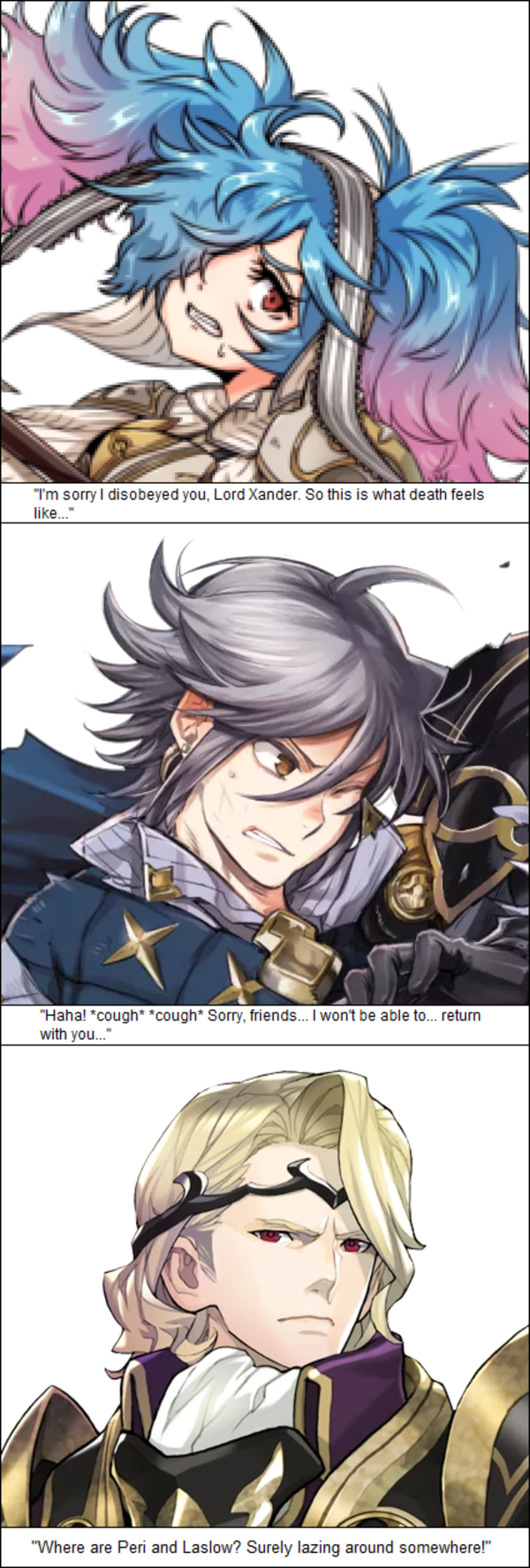 Considerate Xander | Fire Emblem | Know Your Meme