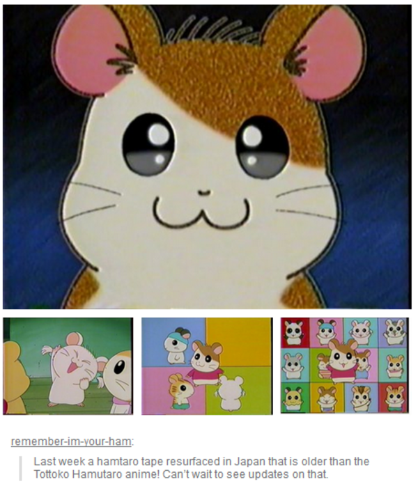 An older version of Hamtaro has recently resurfeced in Japan that ...