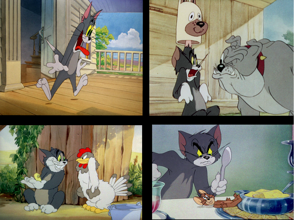 Tom's loss | Loss | Know Your Meme