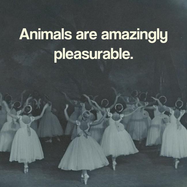 *Worried laughter* | InspiroBot | Know Your Meme