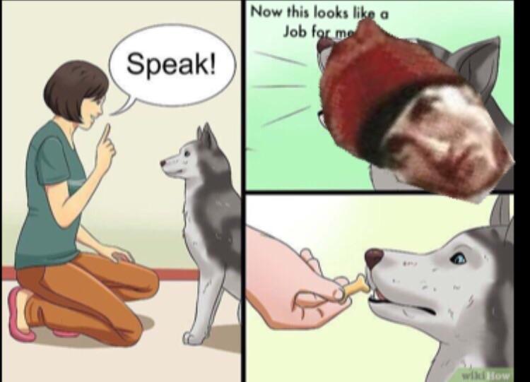Now this looks like a job for me | WikiHow Dog Training | Know Your Meme
