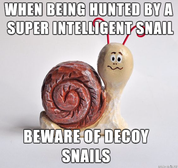 When being hunted by a super intelligent snail / beware of decoy snails ...