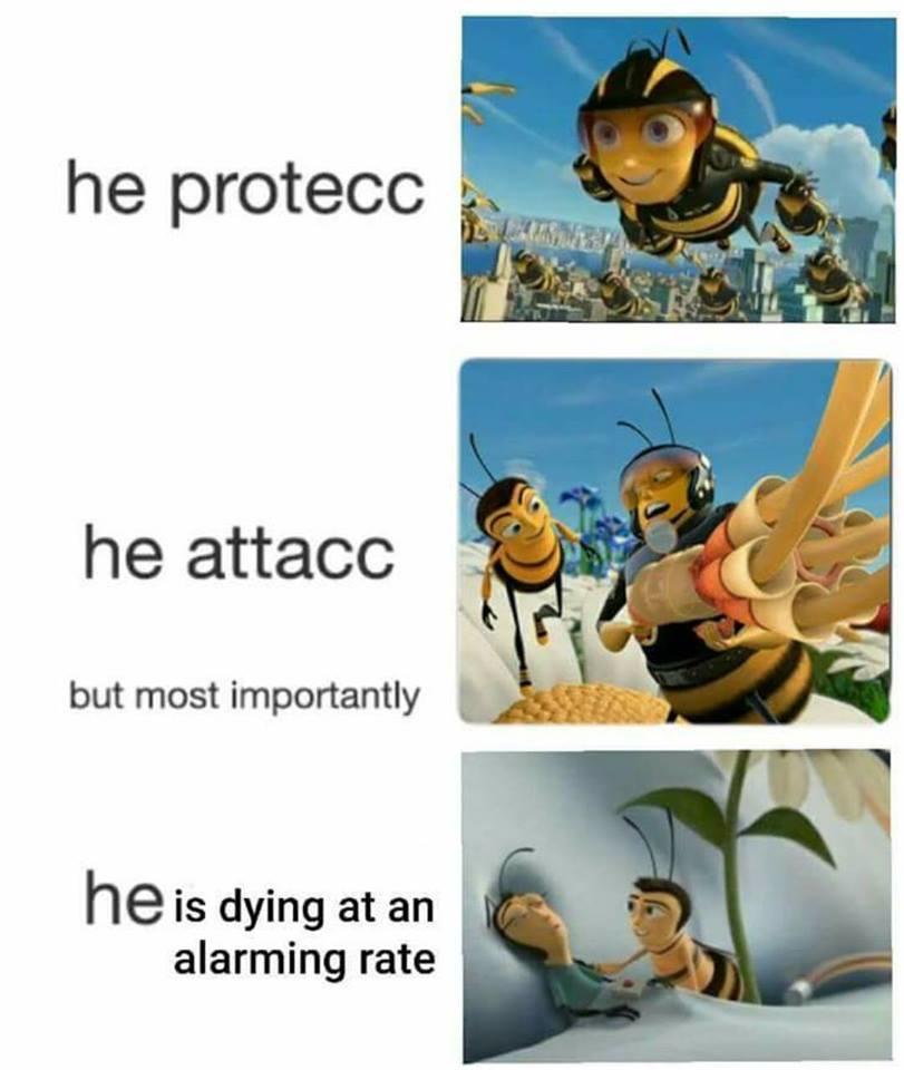 Bees | He Protec but He Also Attac | Know Your Meme