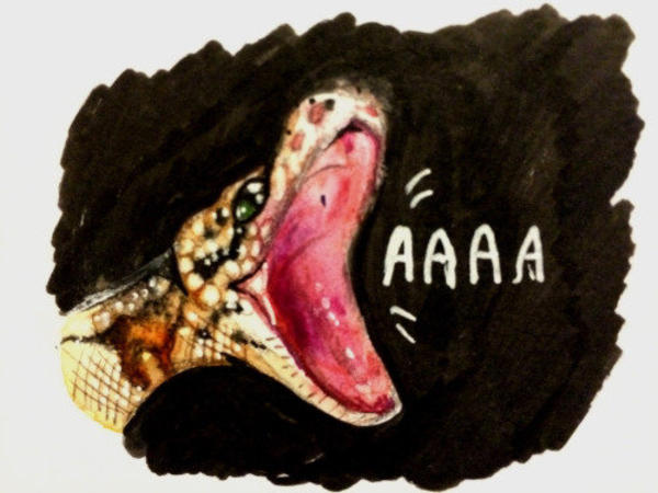 AAAA Snek | Aaaaaaaa | Know Your Meme