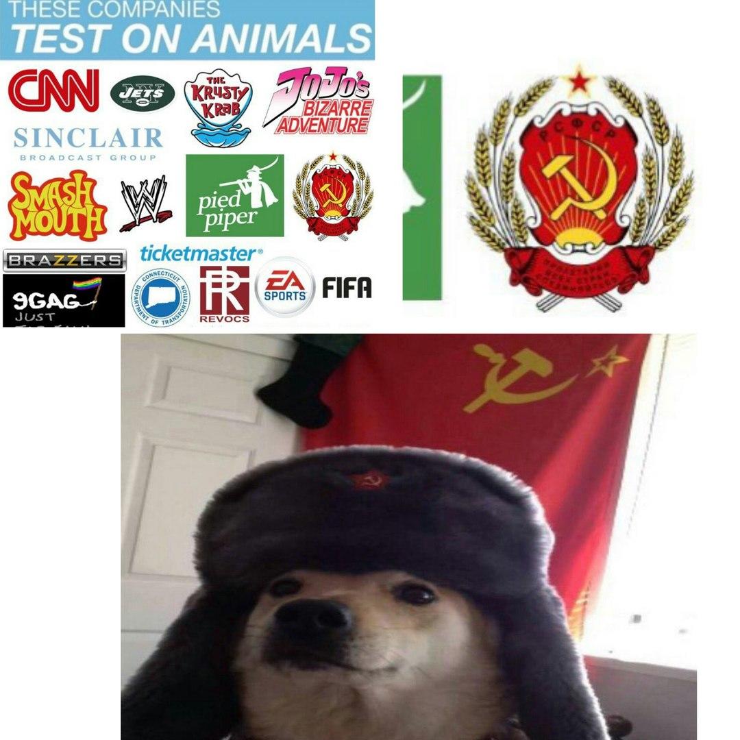 Horrible test | These Companies Test On Animals | Know Your Meme