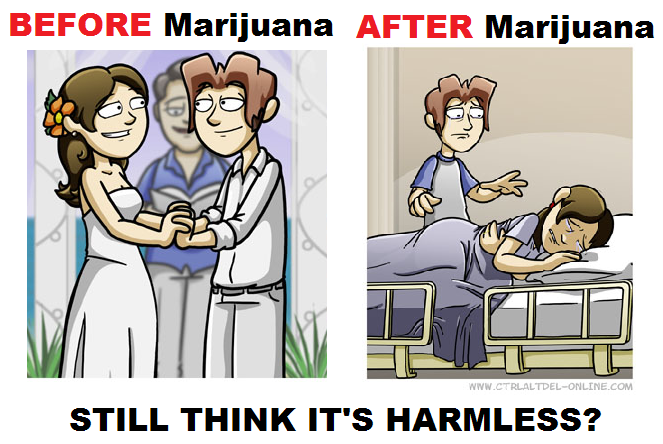 Don't do drugs | Still Think It's Harmless? | Know Your Meme