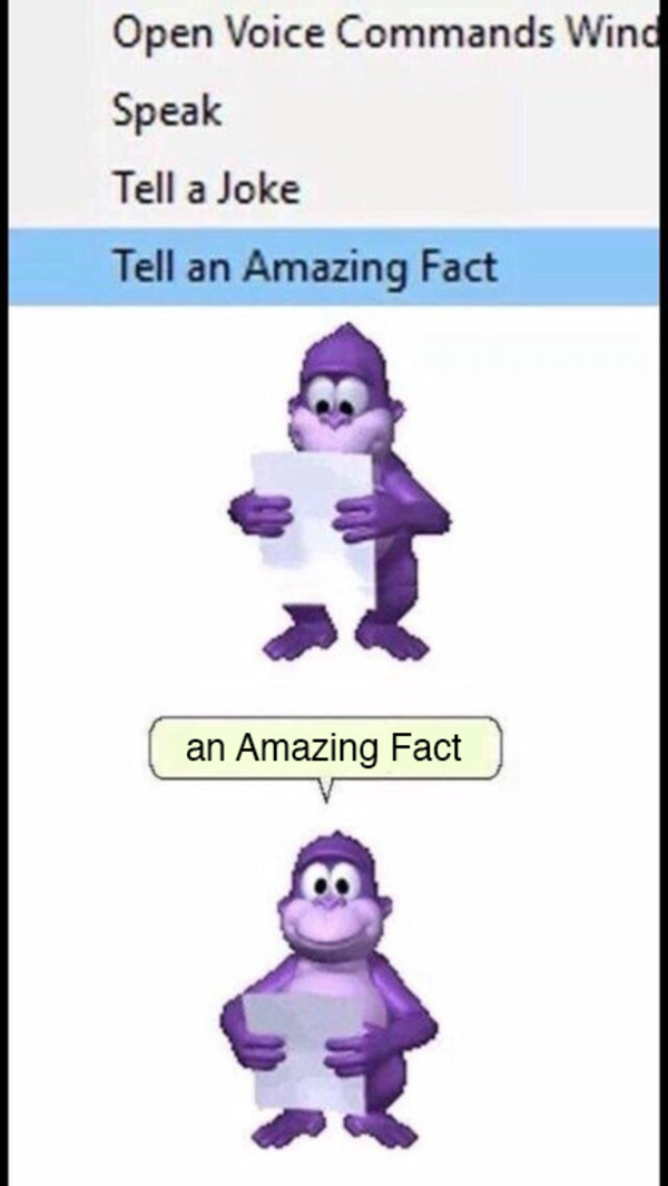 An Amazing Fact | Tell An Amazing Fact | Know Your Meme