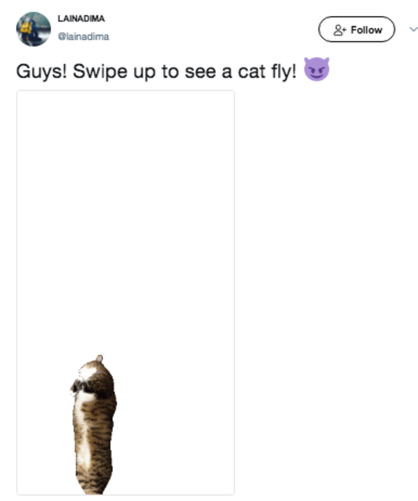 Make This Cat Fly | Swipe Up To Make This Fly | Know Your Meme