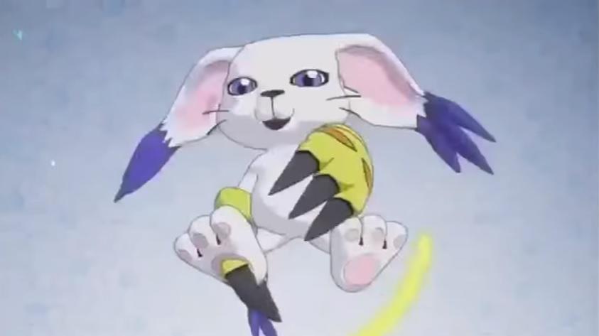 Tailmon/Gatomon (Digimon adventure tri) | QUALITY | Know Your Meme