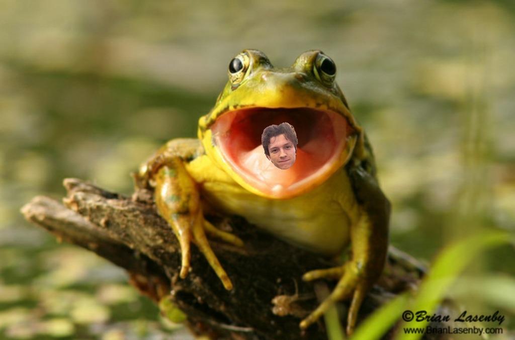 A Tom Holland In Frogs Mouth | The Frog In Tom Holland's Mouth | Know ...