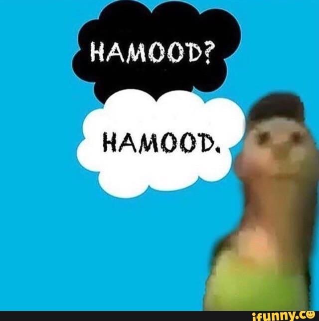 Hamood? Hamood. | Hamood Habibi | Know Your Meme