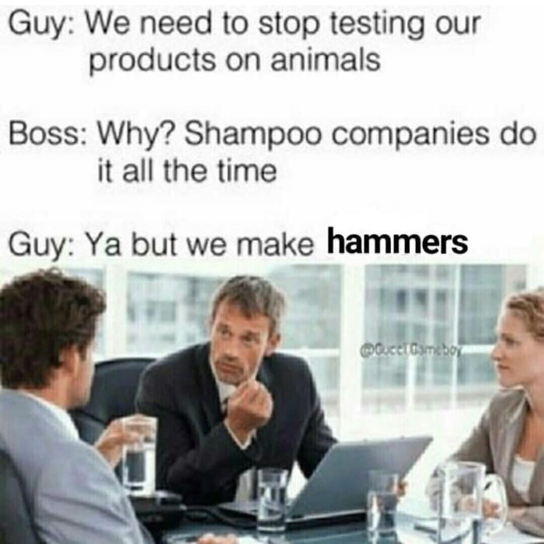 But we make hammers | We Need to Stop Testing Our Products on Animals ...