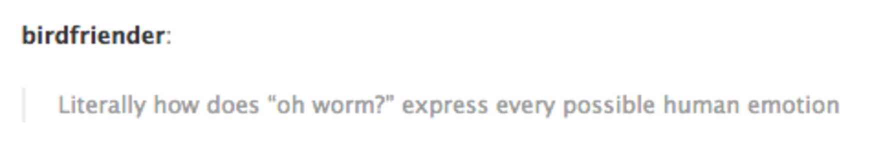 Birdtracer | Oh, Worm? | Know Your Meme