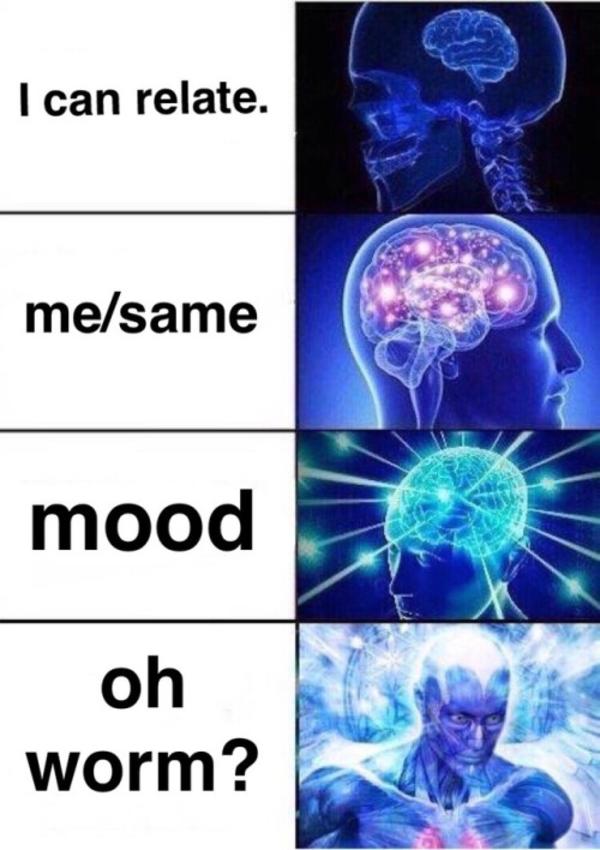 Expanding BRain | Oh, Worm? | Know Your Meme