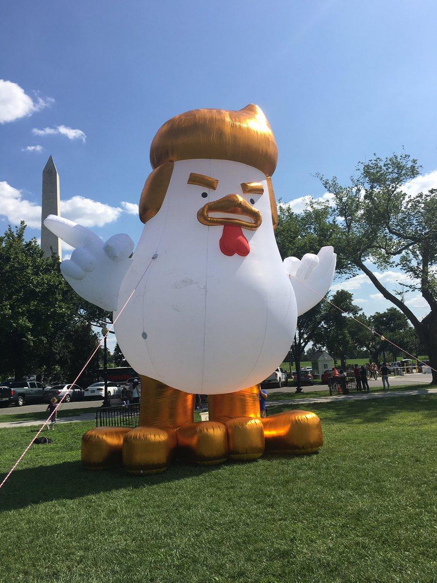 The 30ft Inflateable Trump Chicken | Trump Chicken | Know Your Meme