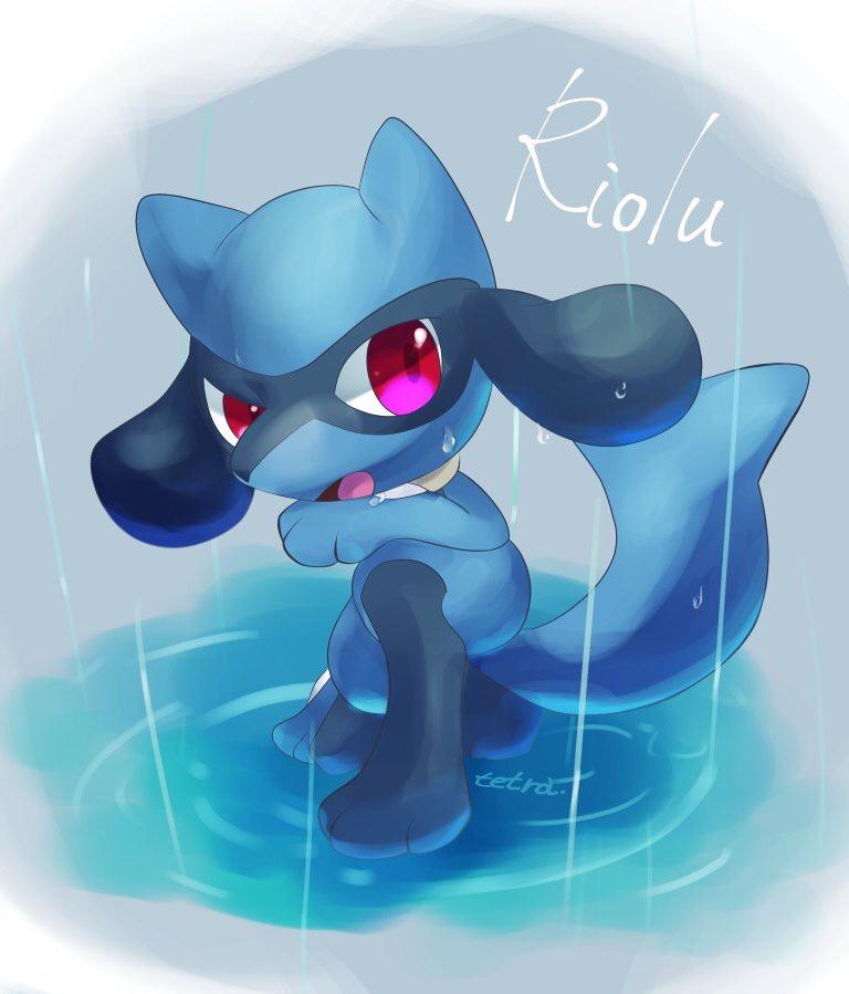 Riolu | Pokémon | Know Your Meme