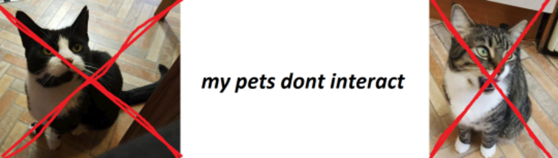 Cats | Do Not Interact | Know Your Meme