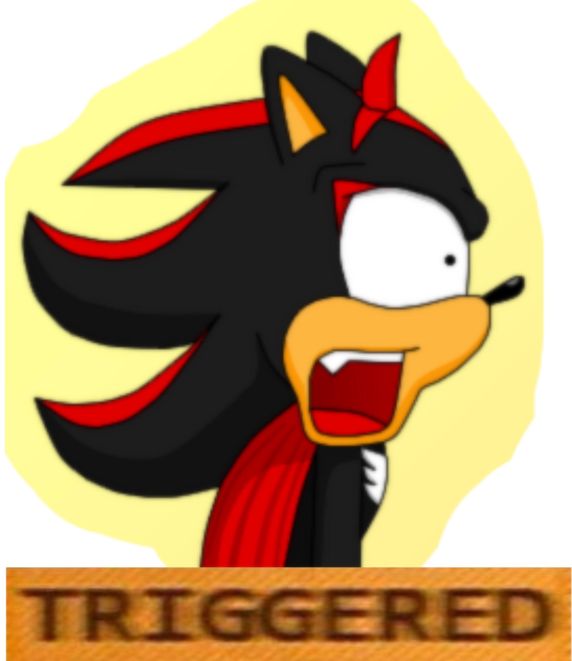 Shadow is Triggered | Shadow The Hedgehog | Know Your Meme