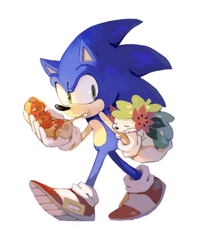 Hedgehogs | Sonic the Hedgehog | Know Your Meme