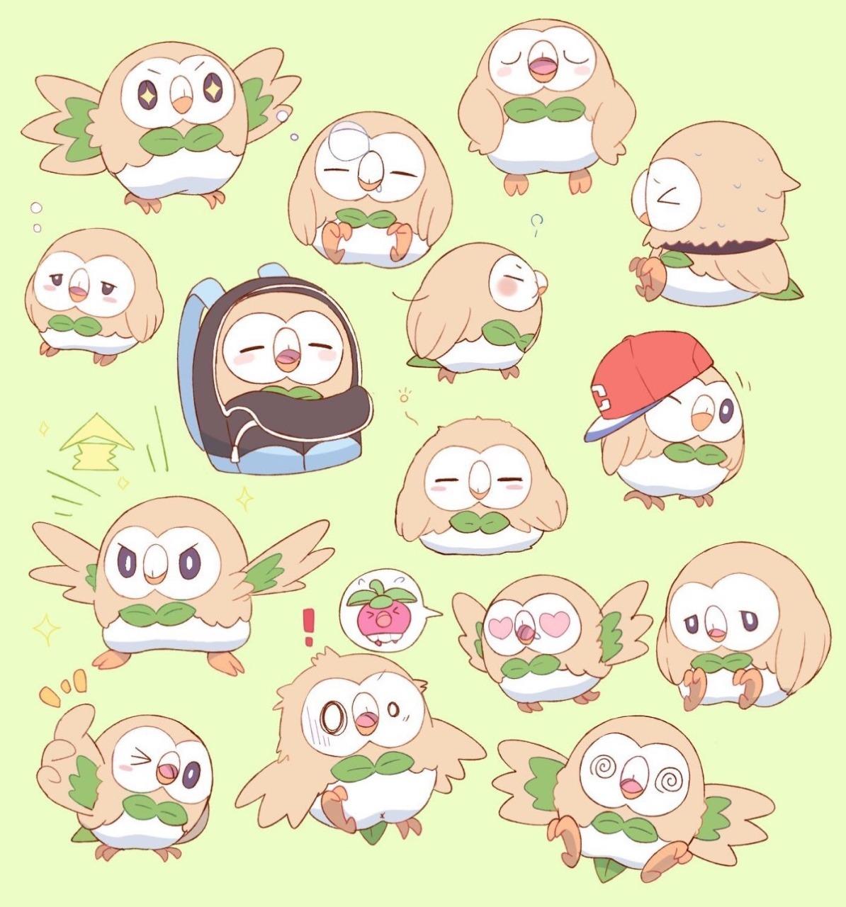Rowlet | Pokémon Sun and Moon | Know Your Meme