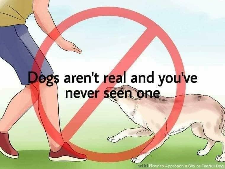 Dogs are NOT real | WikiHow | Know Your Meme