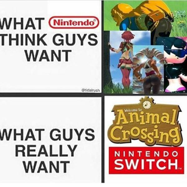 What guys want | Nintendo | Know Your Meme