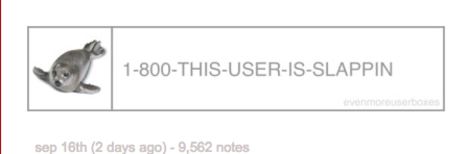 This User Is Slappin | 1-800-ARE-YOU-SLAPPIN | Know Your Meme