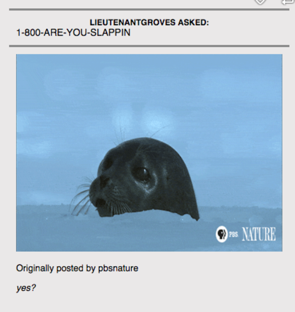 Seal | 1-800-ARE-YOU-SLAPPIN | Know Your Meme