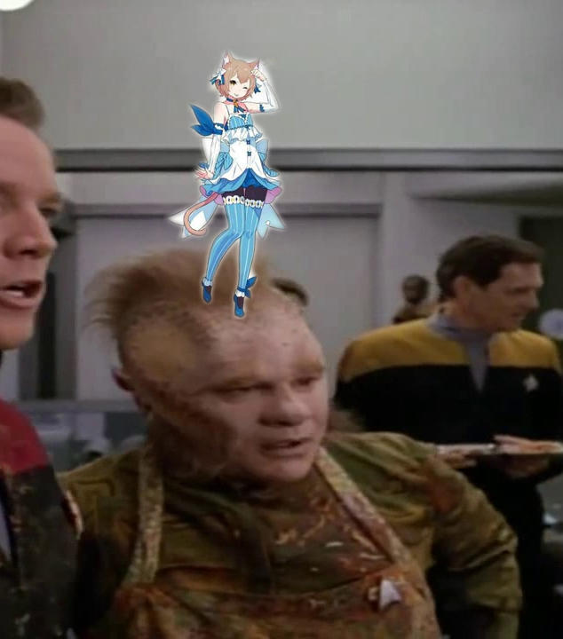 Felix on a Neelix | You've Heard of the Elf on the Shelf... | Know Your ...