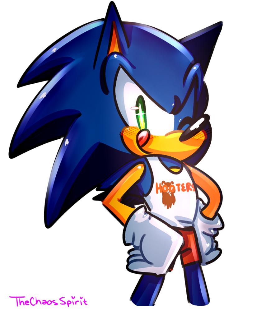 Hooters Waiter Sonic | Sonic Hooters | Know Your Meme