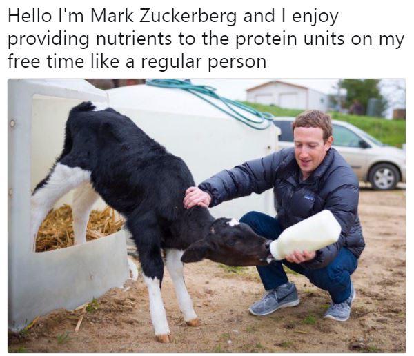 I'm Mark Zuckerberg and I enjoy providing nutrients to the protein ...