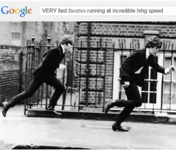 Very fast Beatles running at incredible hihg speed | Very Fast Doggo ...
