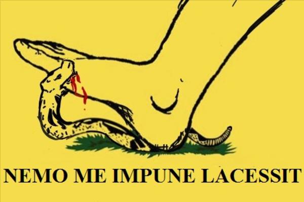 "No one attacks me with impunity" | Gadsden Flag / Don't Tread On Me ...