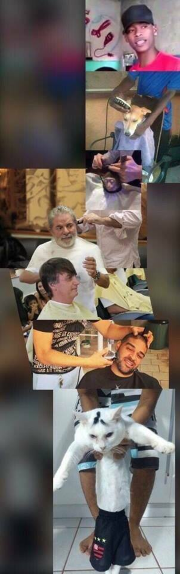 Ultimate Monkey Haircut Picture | Monkey Haircut | Know Your Meme