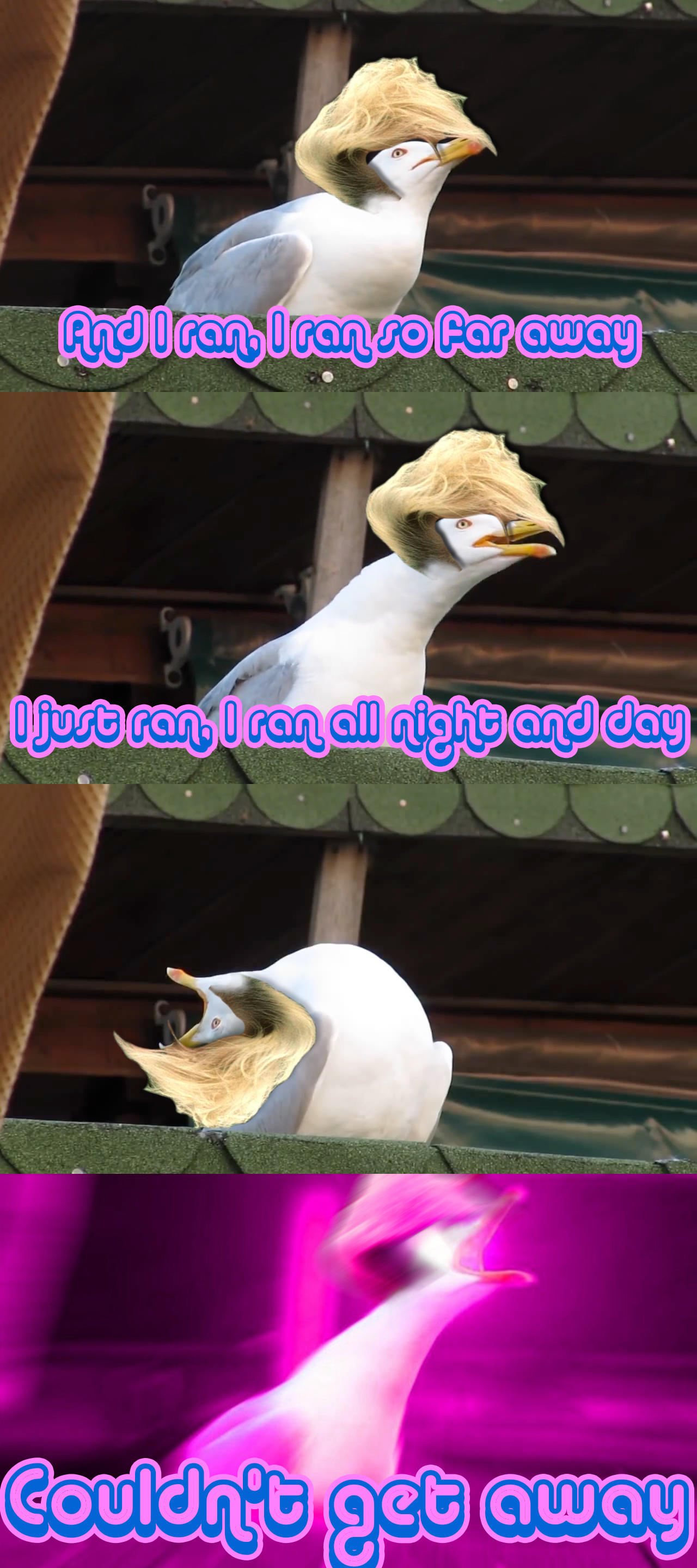flOCk of seagulls | Inhaling Seagull | Know Your Meme