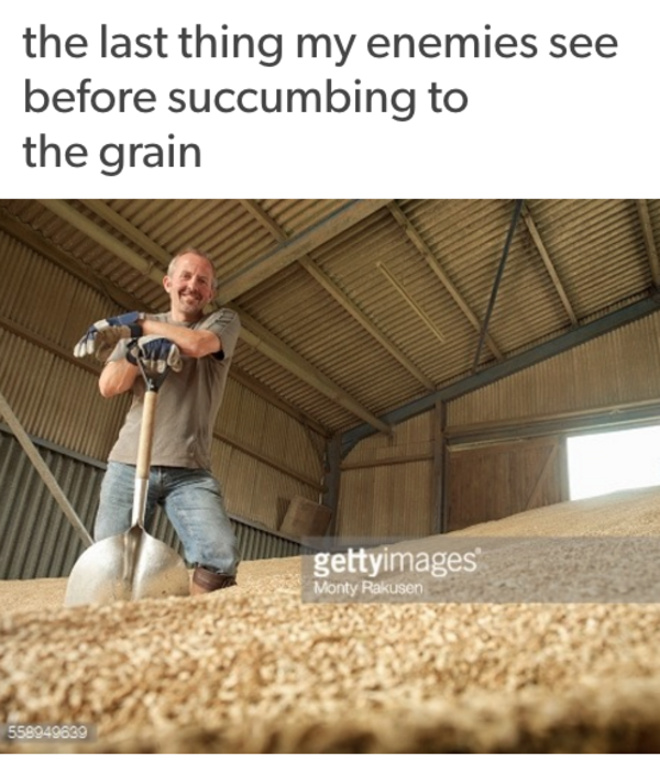 The Last Thing My Enemies See | Grain Entrapment | Know Your Meme