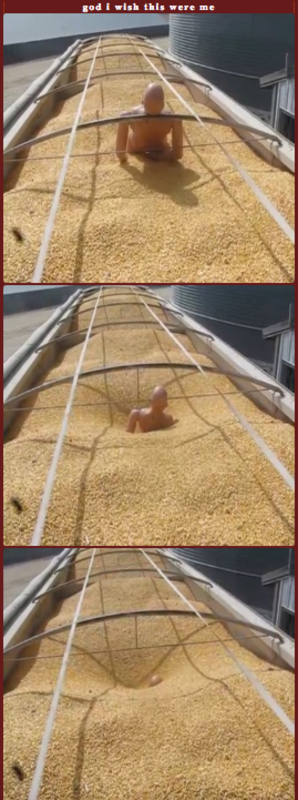 I Wish That Were Me | Grain Entrapment | Know Your Meme