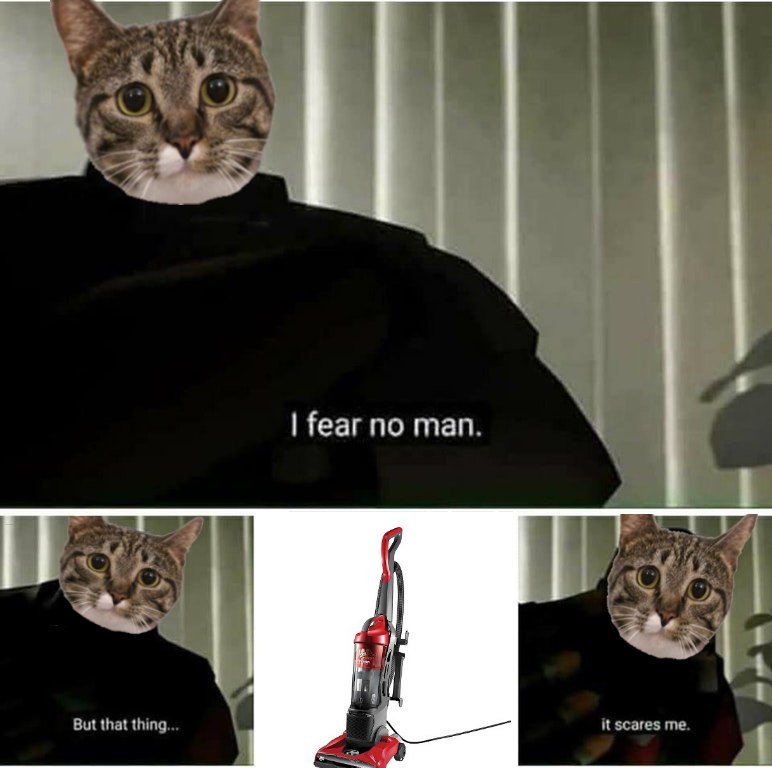 I fear no man | I Fear No Man | Know Your Meme