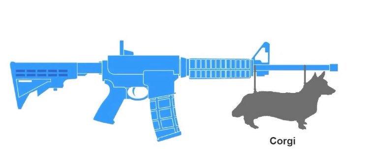 Some doggo | Possible Modifications | Know Your Meme