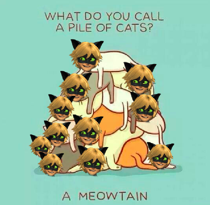 Please No | Miraculous Ladybug | Know Your Meme