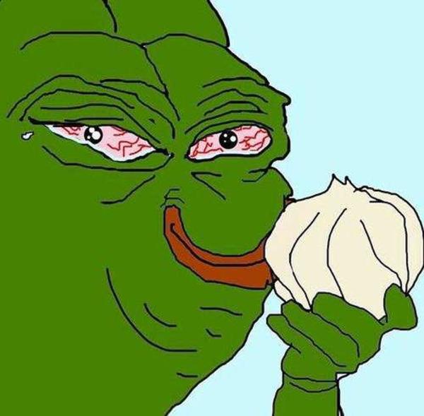 Pepe the Frog holding an onion | The Onion Pill | Know Your Meme