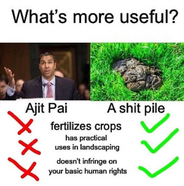 Pai vs Shit pile: What's more useful? | Ajit Pai | Know Your Meme