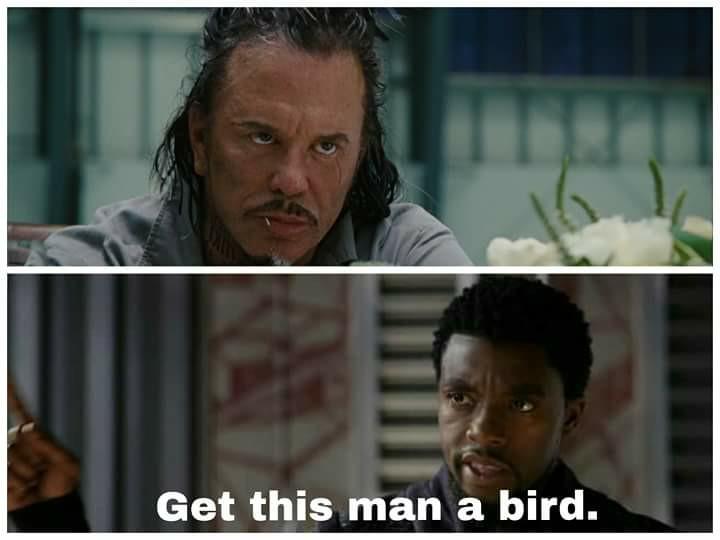 Get this man a bird! | Get This Man a Shield! | Know Your Meme